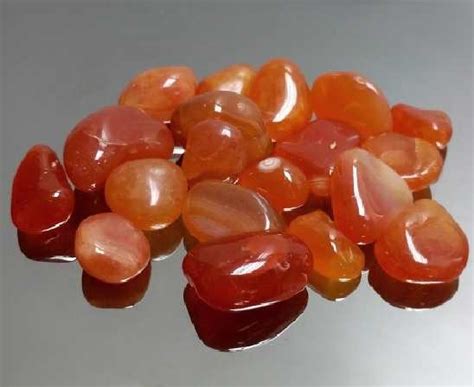 Propiedades De La Coralina Joyitas De Ambar