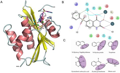 Hiv 1 Rt Associated Rnase H Model And Ligands Structures Panel A The