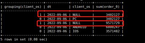 Using Group By Grouping Sets Encountered Some Problems · Issue 10974