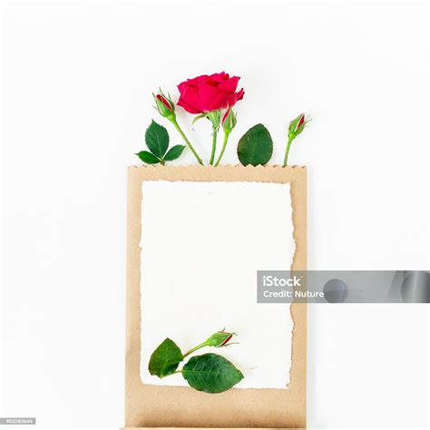 빨간 장미 가지 잎 종이 카드와 공예 팩에 고립 된 흰색 배경 평면 위치 최고 보기 0명에 대한 스톡 사진 및 기타 이미지