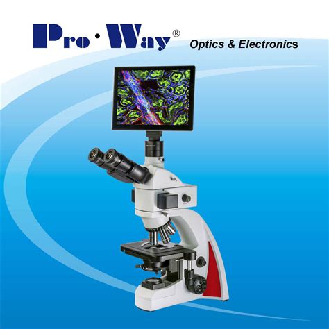 Professional Digital Fluorescence Microscope Pw400flu Lcd Optical