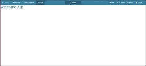 Implementation Of Portal Pages In Metric Insights Useready