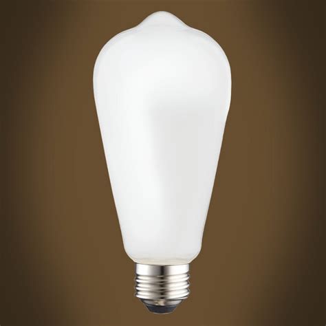 Led Edison Bulb Frosted 3200k 1800k 500 Lumens E26