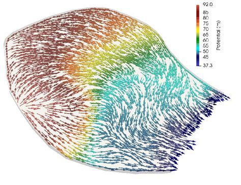 Steady Ow A Visualization Of Velocity And Potential Elds B