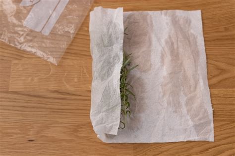 How Long Does Rosemary Last And How To Store It Does It Go Bad
