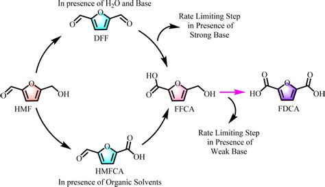 The Reaction Pathway For The Synthesis Of Fdca Using Hmf As Substrate Download Scientific