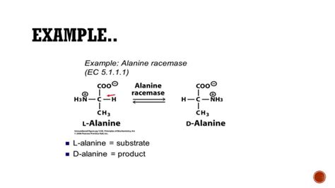Enzyme Classification And Nomenclaturepptx