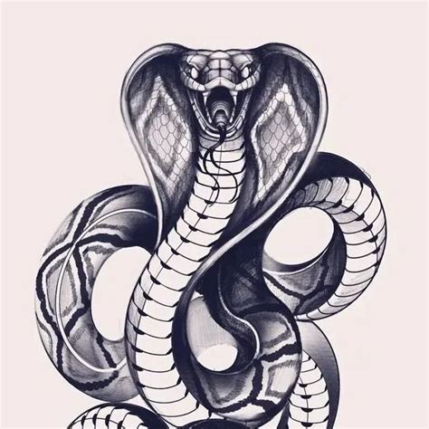 King Cobra Tattoo Design Japanese Neo Traditional Art