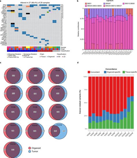 Integrative Analysis Of Multiple Genomic Data From Intrahepatic Cholangiocarcinoma Organoids