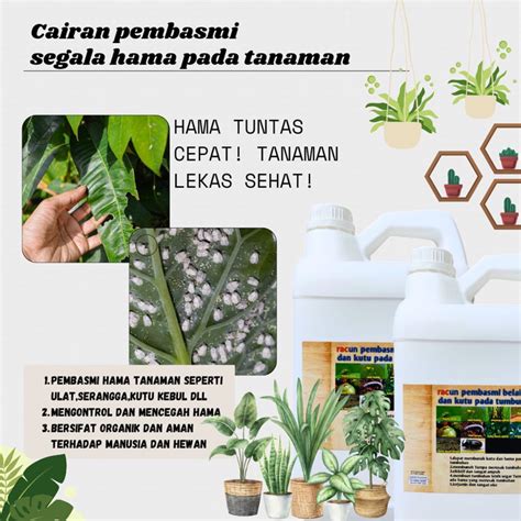 Jual Pembasmi Hama Daun Kutu Putih Dan Ulat Daun Isi 5liter Shopee