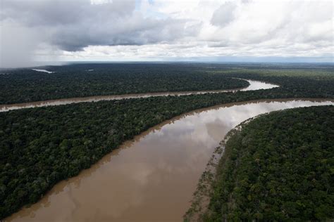 Desmatamento na Amazônia explode em agosto e alcança 2ª maior marca já