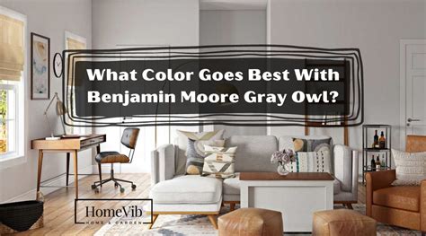 What Color Goes Best With Benjamin Moore Gray Owl Homevib