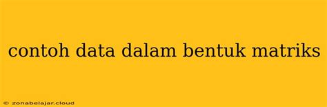 Contoh Data Dalam Bentuk Matriks
