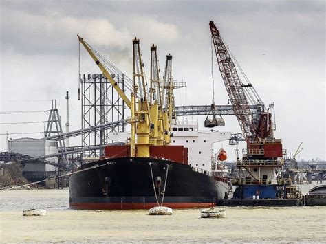 Adnoc Lands Is Developing The Island Project In The Lower Zakum Field Seetao