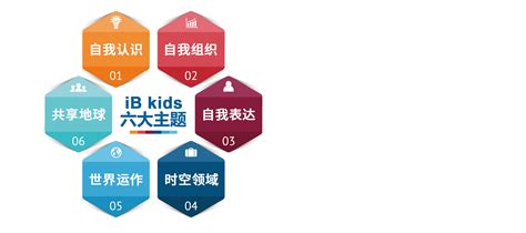 Ib国际儿童智荟学