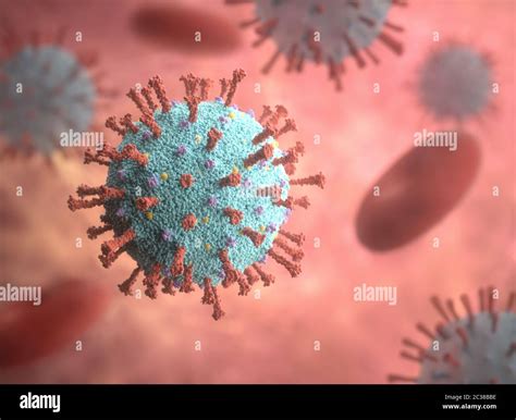 Nucleic Acid Function Of Virus At Cynthia Connor Blog