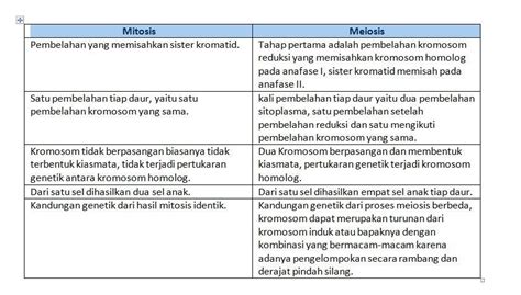 Perbedaan Mitosis Dan Meiosis