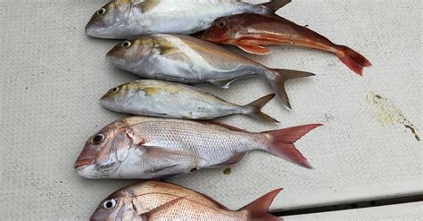 釣り舟 海竜 タイラバ