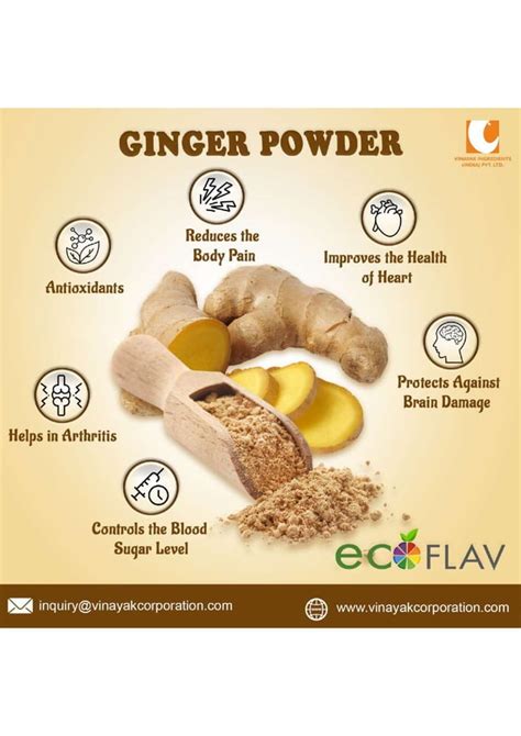 Medicinal Marvel Unveiling The Healing Potential Of Ginger Powder Pdf