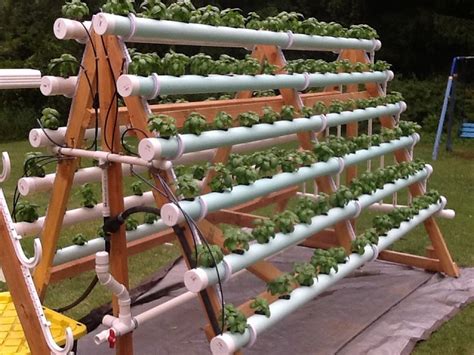 How To Grow 168 Plants In A 6 X 10 Space With A DIY A Frame Hydroponic