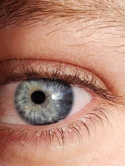 My Buddys Off Centered Pupil Mildlyinteresting