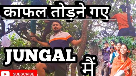 🙏🙏 काफल तोड़ने गए आज Jungle में ️💖💖 Youtube