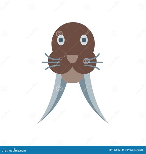 Walrus Icon Vector Sign And Symbol Isolated On White Background Stock