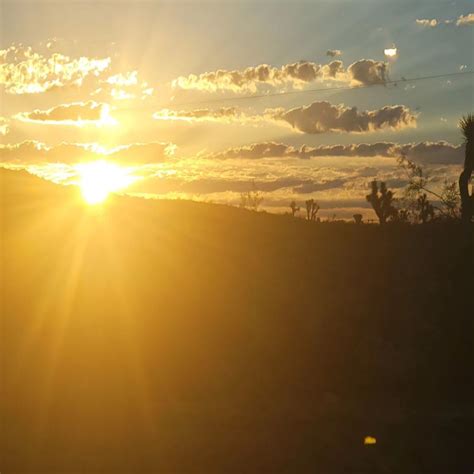 Desert Oasis Sunsetsand Stars Hipcamp In Landers California