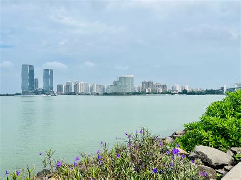 专家：推进中国 东盟自由贸易将释放自由贸易区红利凤凰网海南凤凰网