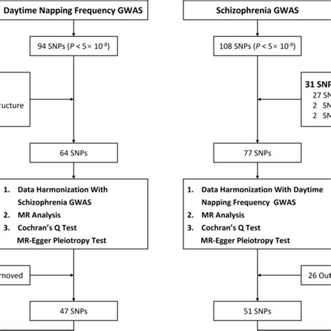 The Flow Chart Of Mendelian Randomization Abbreviations Download