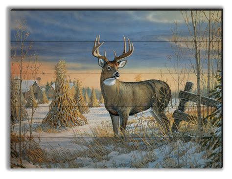 Whitetail Deer Painting