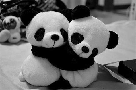Pandas Animados Tiernos Enamorados Imagui
