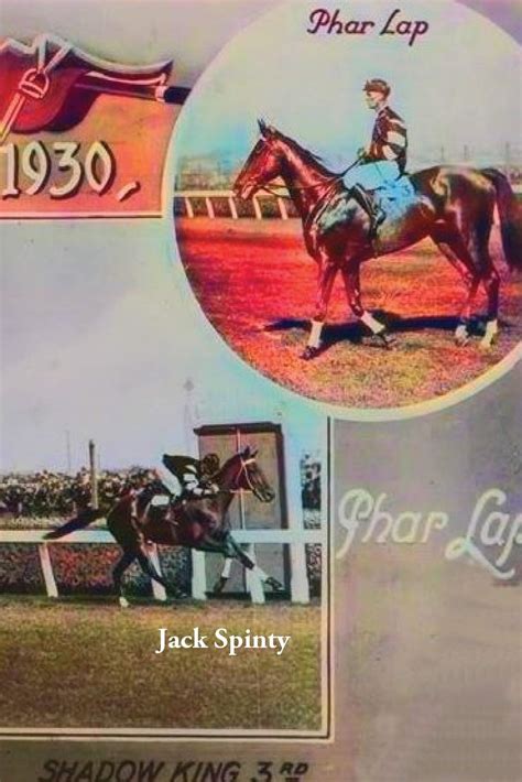 Buy Phar Lap Big Red Memorabilia Online At Desertcartindia