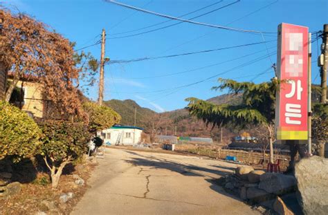 수십년 이어온 생계인데… 개고기 식용 금지법 통과 그 후