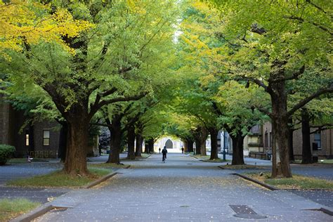 【エンジニアが選ぶ】「東京一工・早慶上理icuの中で子どもを進学させたい大学」ランキング！ 第1位は「東京大学」【2023年最新調査結果】（1