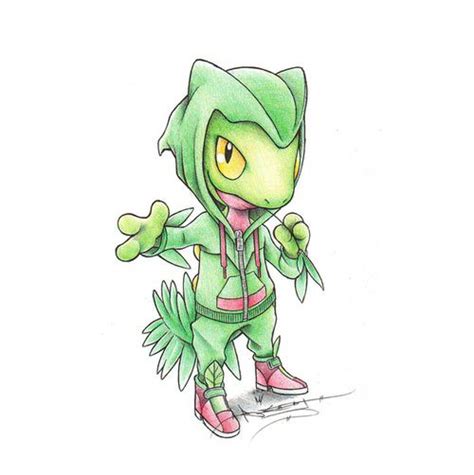 Treeko ♥ I Had A Sceptile For A Partner In Pkmn Rangers Shadow Of
