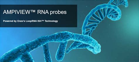 P Zafiropoulos S A Introduces Ampiview™ Rna Probes