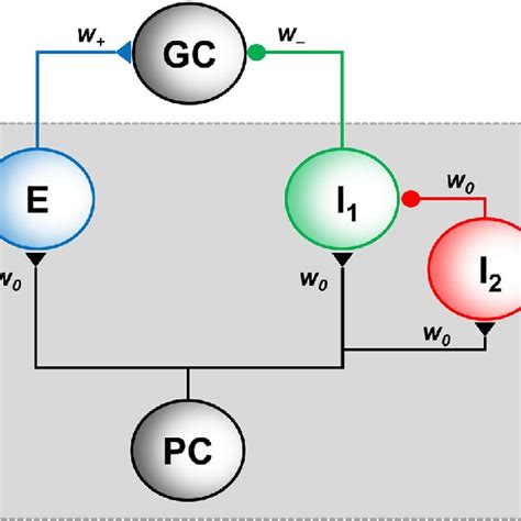 Diagram Of Model Network Architecture The Key Element In The Proposed Download Scientific