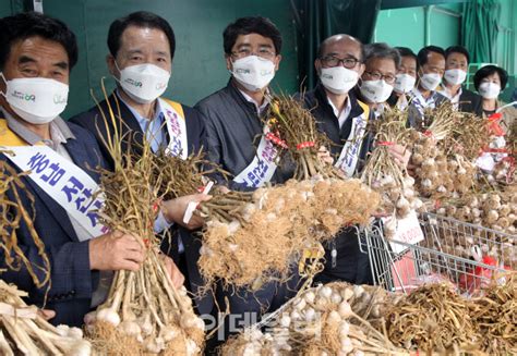 포토 서산6쪽마늘 특별판매전 이데일리
