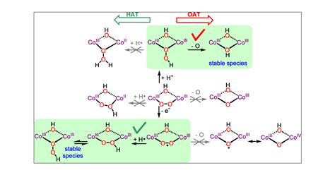 Activation Of Electrophilic Reactivity By Protonation And Oxidation Of