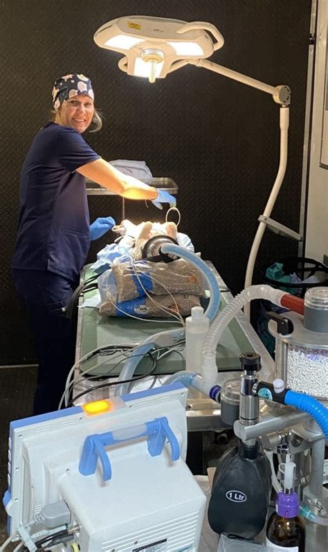 Mobile Veterinary Truck Diagnostics Services