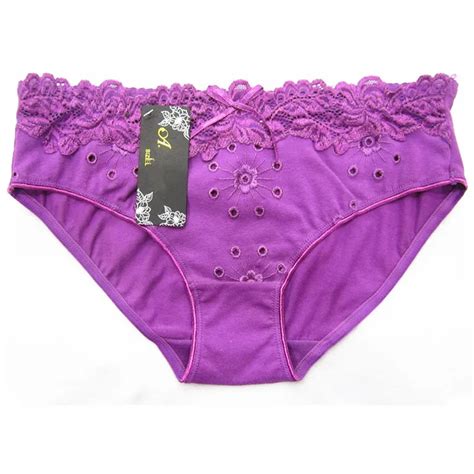 Sexy Embroidery Briefs Women Lace Panties Plus Size Underwear Female