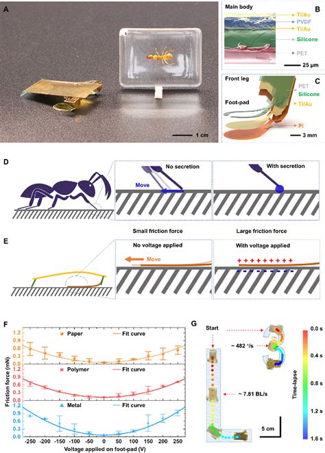 Figure 1 From Ultrahigh Agility With Trajectory Control Of Insect Scale Soft Robots Semantic