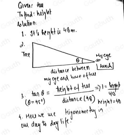 Solved Trigonome Tree 1 Look Or A Tree In Your Community Then Find Its Height Using A Trigonom