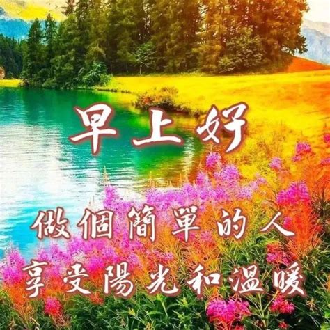早上好祝福问候芬芳灿烂 风雨 月圆月缺 常乐