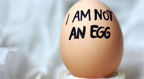 La Incongruencia Destruye A Los Negocios Admira Brand