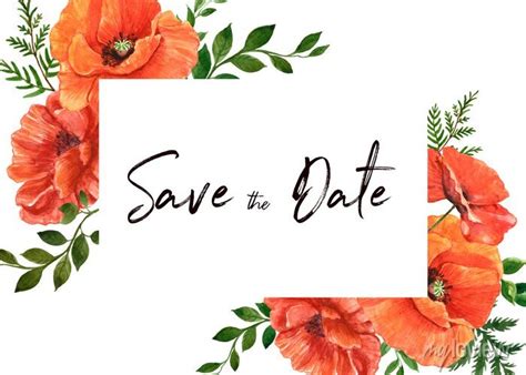 Watercolor Red Poppies And Greenery Leaves Frame On White Background