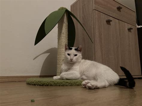 Helenka Na La Domov Pesweb