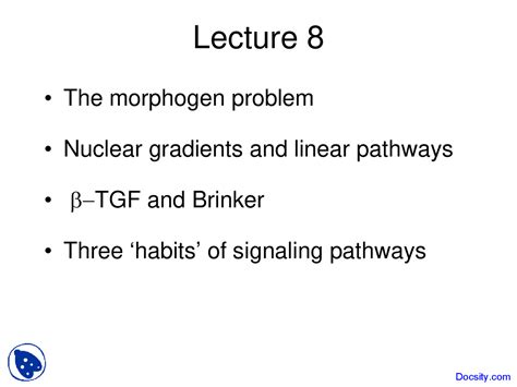 Linear Pathways Nuclear Gradients Morphogen Problem Developmental Genetics Lecture Slides