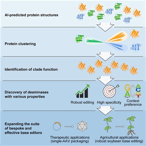 Discovery Of Deaminase Functions By Structure Based Protein Clustering Cell